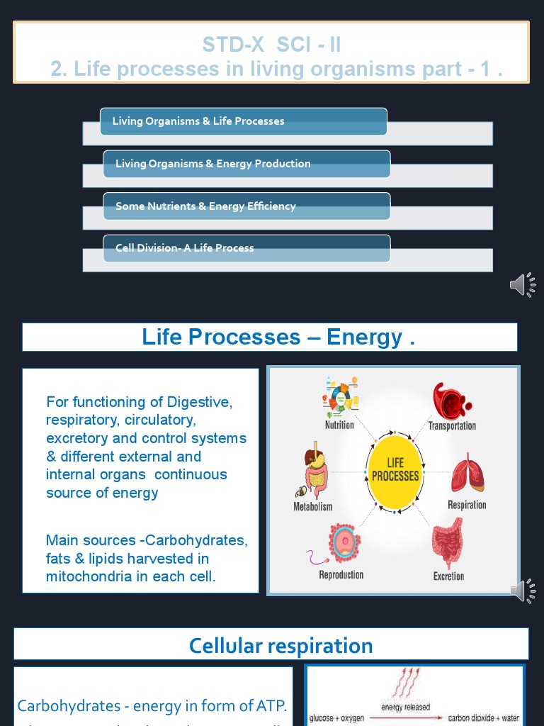 2 Organisms and Life Processes | PDF | Cellular Respiration | Meiosis