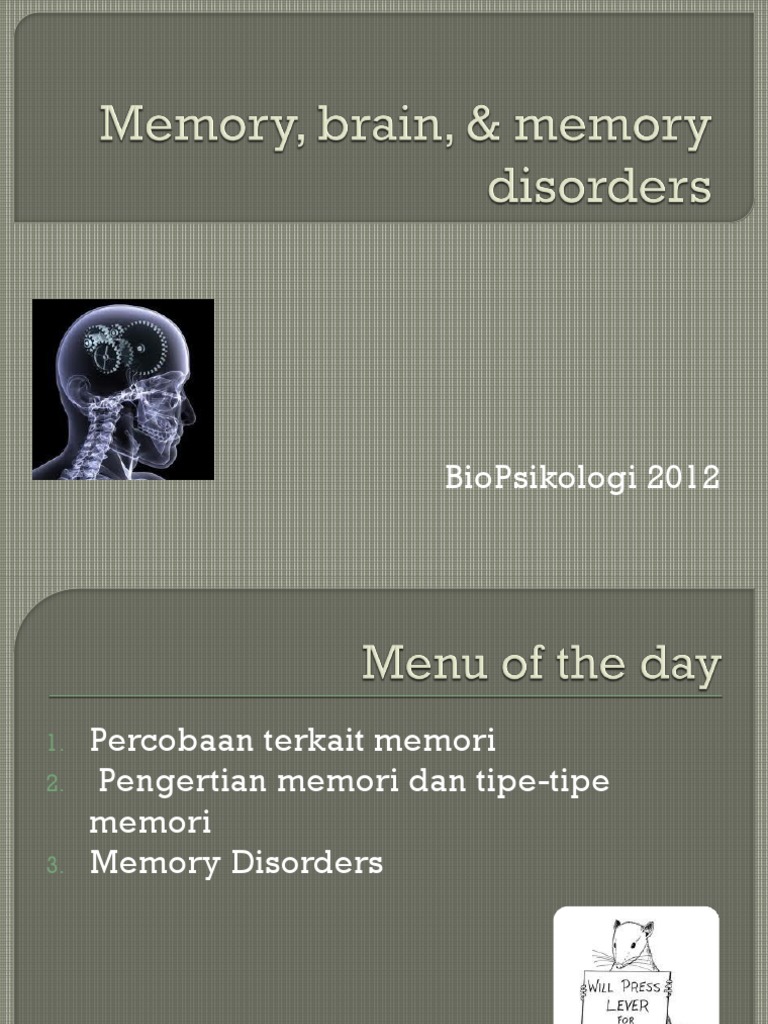 Memory, Brain, Memory Disorder | PDF