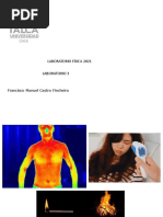 Tópicos Capacitación Compusafe | PDF | Informática