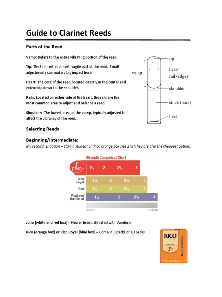 Guide To Clarinet Reeds: Parts of The Reed | PDF | Musical Instruments