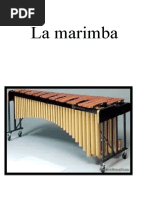 Evolución de La Marimba | PDF | Las artes escénicas | Entretenimiento ...