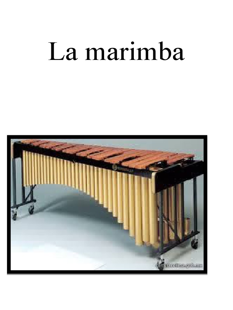 La Marimba | PDF | Instrumentos musicales | Sonido