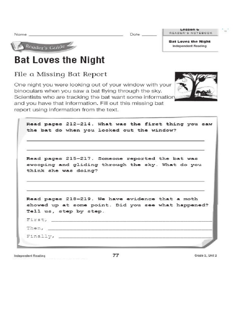 Bat Loves The Night | PDF