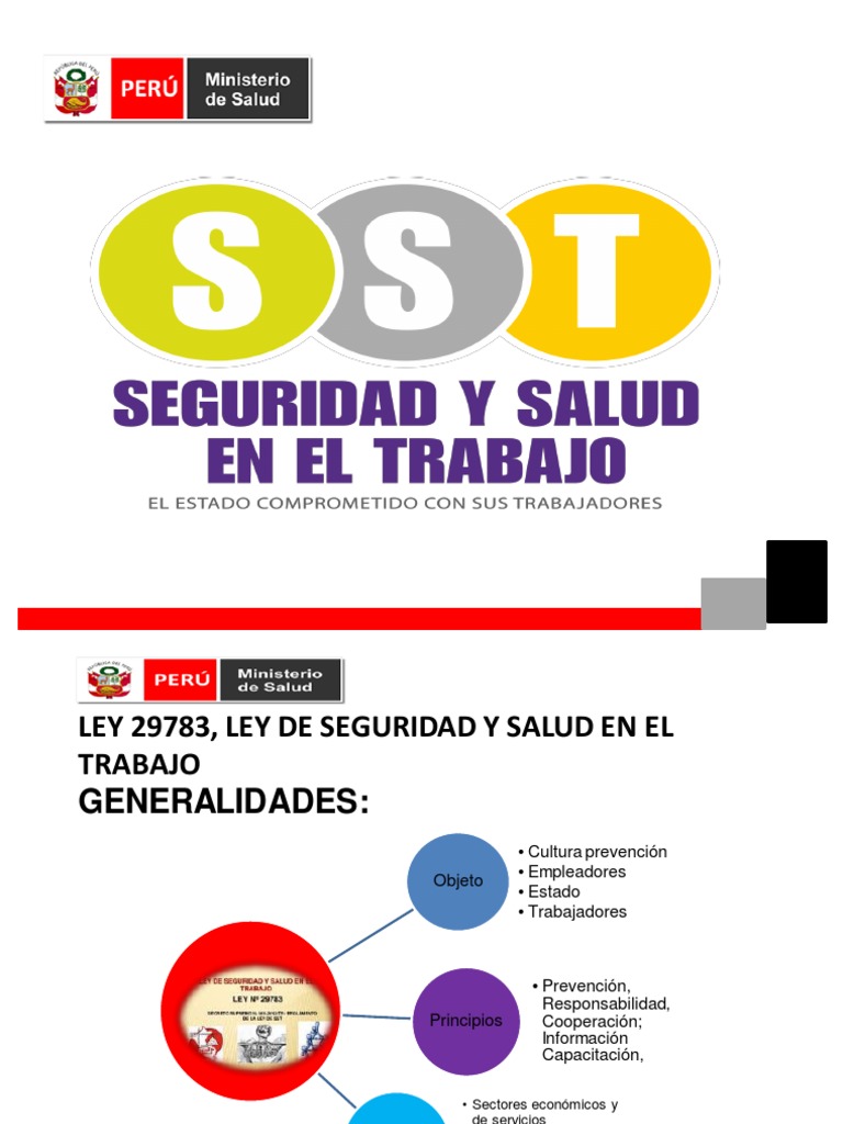 Seguridad y Salud en El Trabajo Minsa | PDF