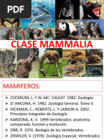 Anatomía del Hámster: Estudio Detallado | PDF | Mamíferos | Reptil