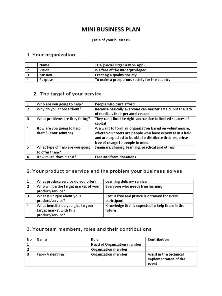 Mini Business Plan: 1. Your Organization | PDF | Volunteering | Expert