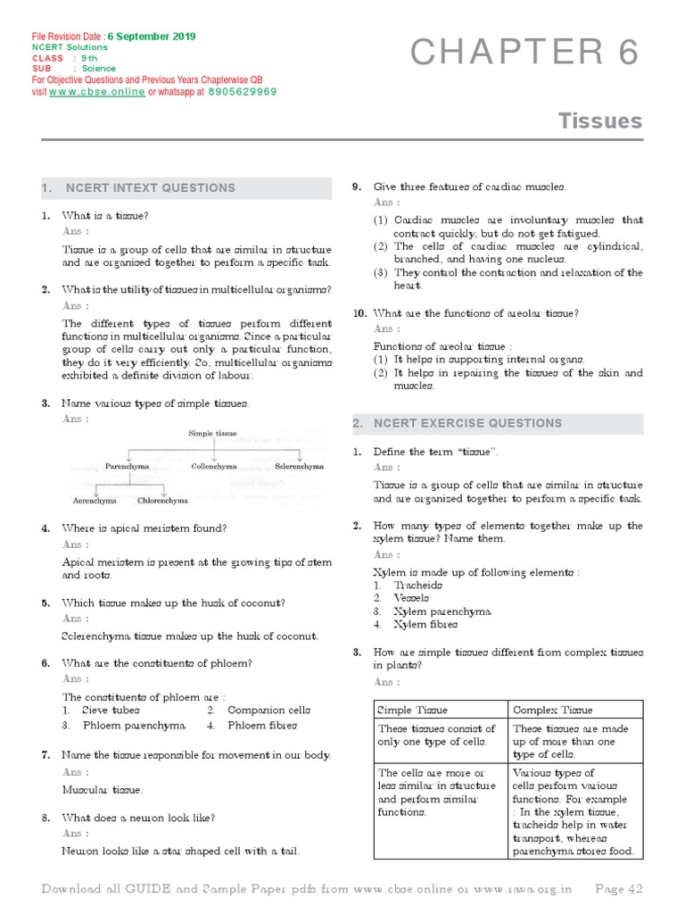 Tissues: 1. Ncert Intext Questions | PDF | Tissue (Biology) | Epithelium