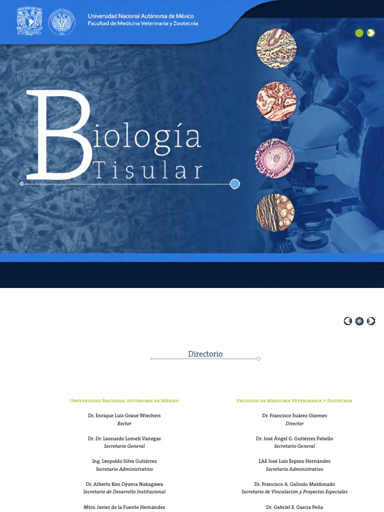 TISULAR | PDF | Epitelio | Tejido (biología)
