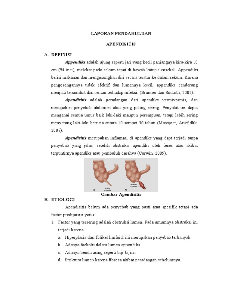 LP Apendisitis Seminar | PDF