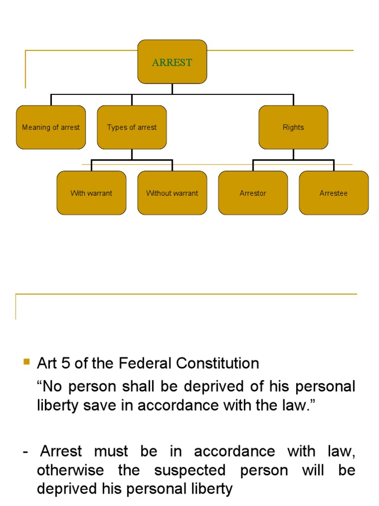 Arrest Rights Relating To Arrest | Download Free PDF | Arrest | Arrest ...