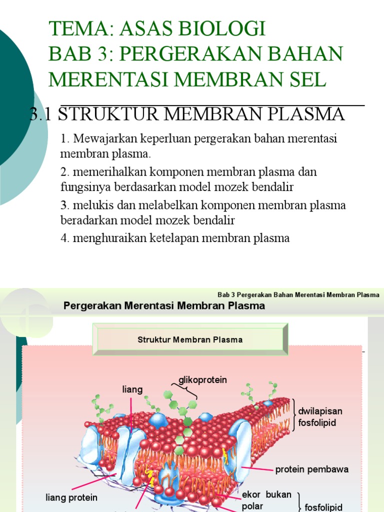 t4 b3 - Membran Plasma | PDF