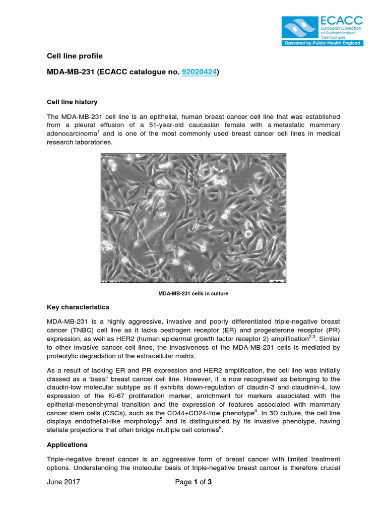 Cell Line Profile MDA-MB-231 (ECACC Catalogue No.) | PDF | Metastasis ...