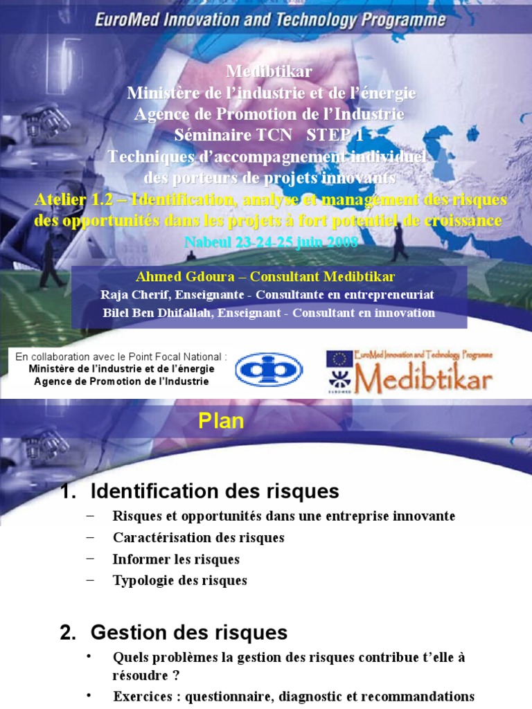 Risques Et Opportunités Dans Une Entreprise Innovante 1 | PDF | Risque | Gestion des risques