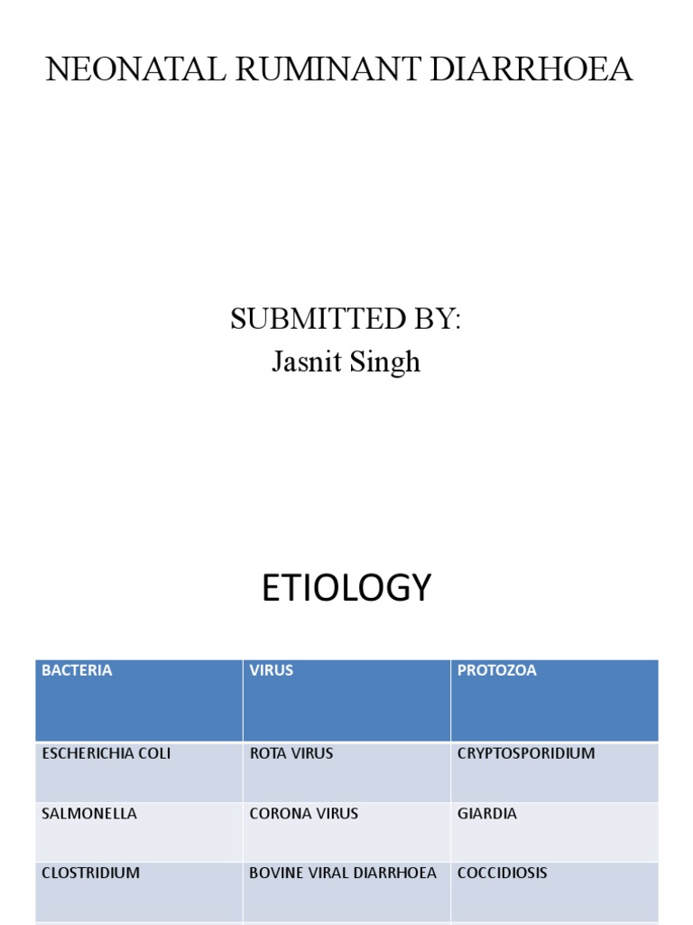 Neonatal Ruminant Diarrhoea | PDF | Diarrhea | Gastrointestinal Tract