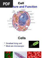 Cell Types & Cell Modification | PDF | Eukaryotes | Cell (Biology)