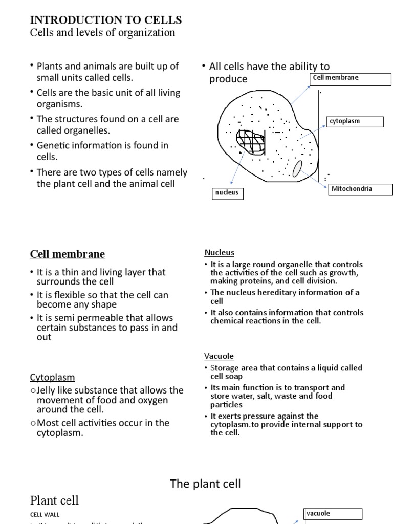 cells-and-levels-of-organization-all-cells-have-the-ability-to