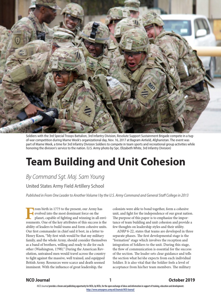 Team-Building and Unit Cohesion | PDF | Leadership | Non Commissioned ...