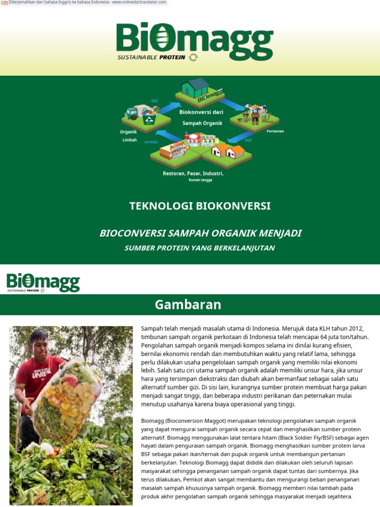 Biomagg - Dried Larvae Project - En.id | PDF