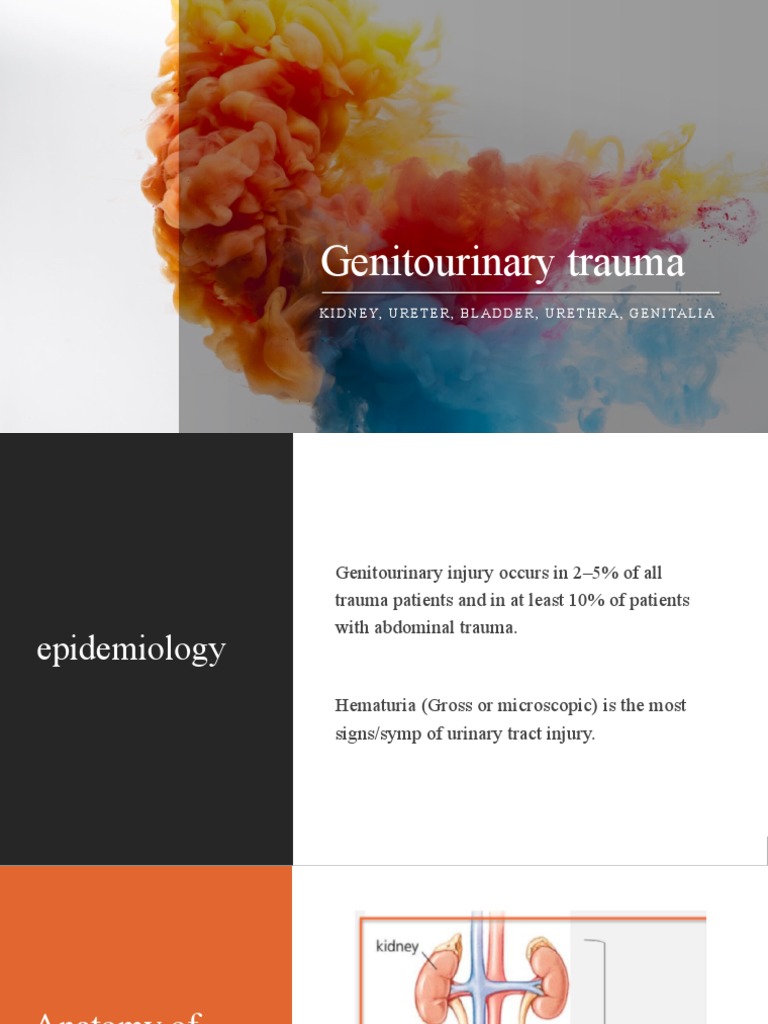 Genitourinary Trauma: Kidney, Ureter, Bladder, Urethra, Genitalia | PDF ...