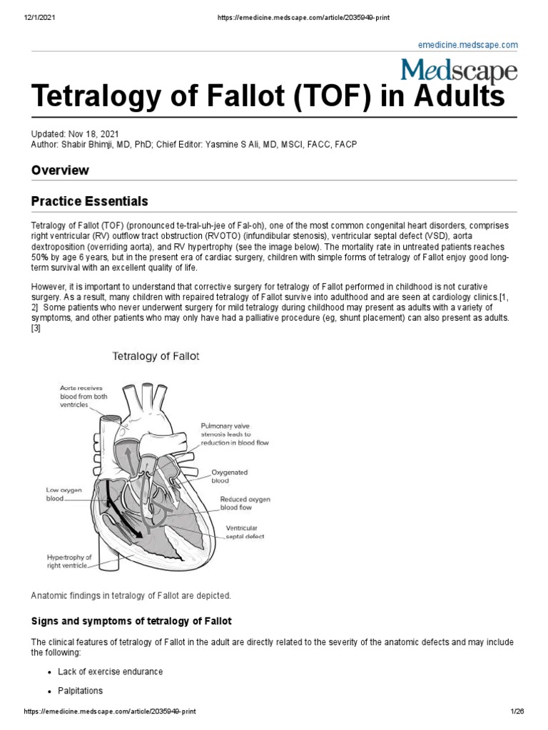 Tetralogy of Fallot (TOF) in Adults: Practice Essentials | PDF ...