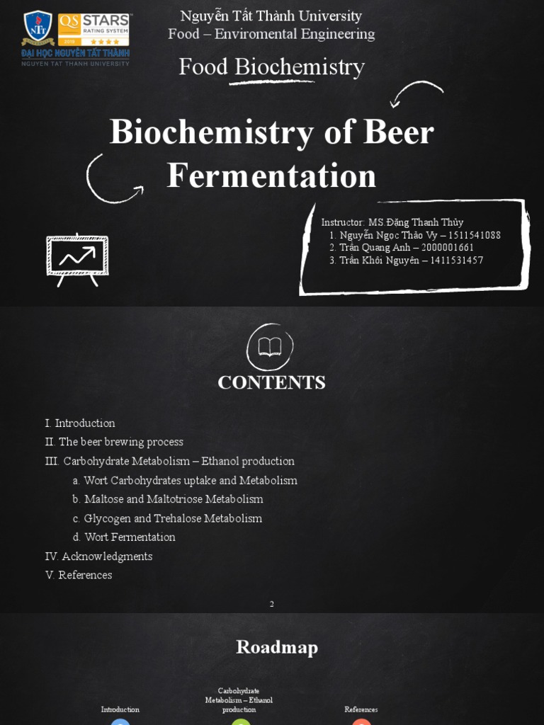 Biochemistry of Beer Fermentation | PDF | Brewing | Malt