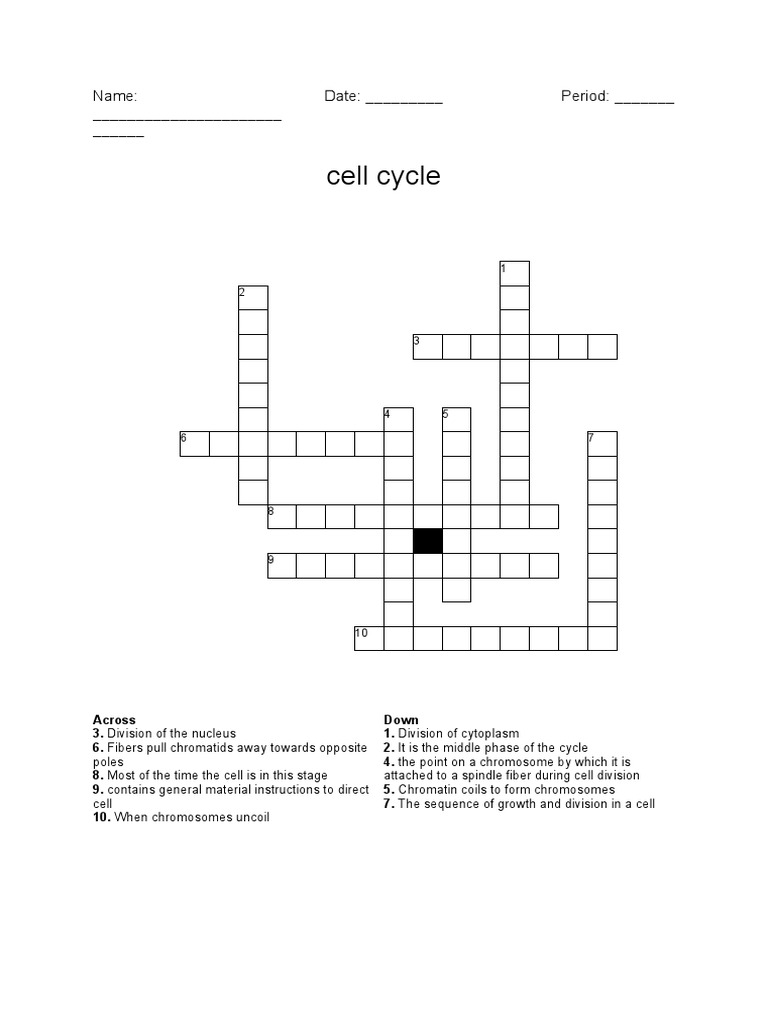 Cell Cycle Crossword Puzzle | PDF