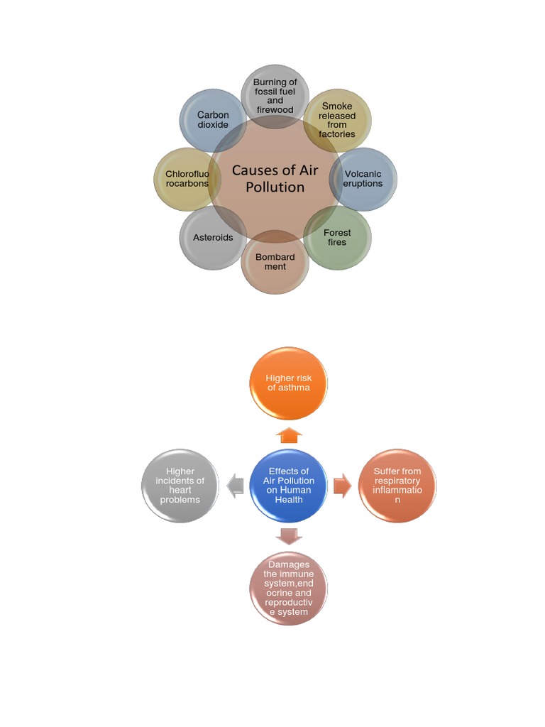 Graphic Organizer Air Pollution | PDF