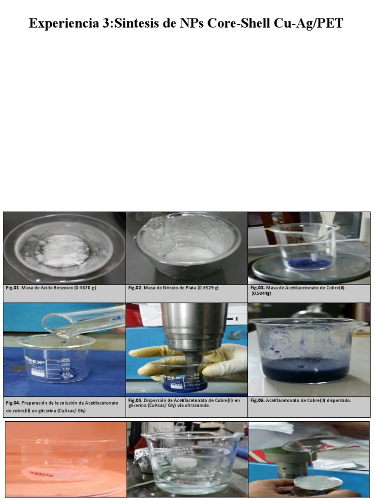 Procedimiento Core Shell PET EXP 3-28062017 | PDF