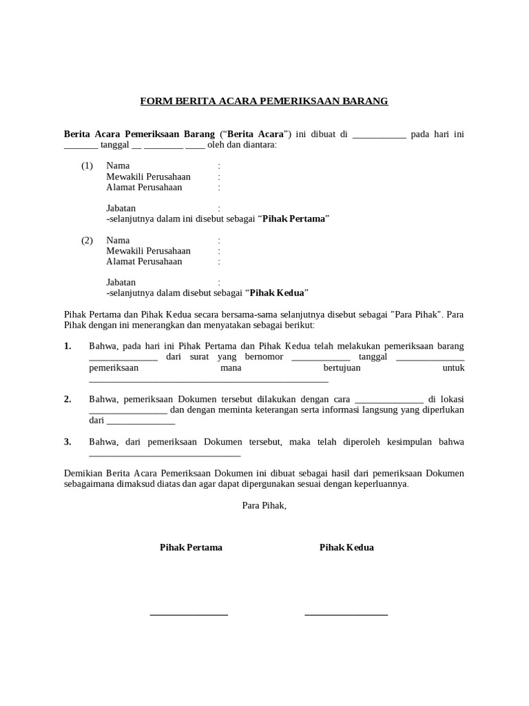 Sample BAP Audit | PDF