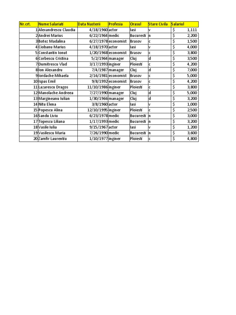 Proiect Excel 1 | PDF