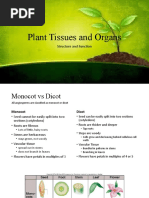 Flower Anatomy Coloring Page - Free Printable Coloring Pages | PDF ...