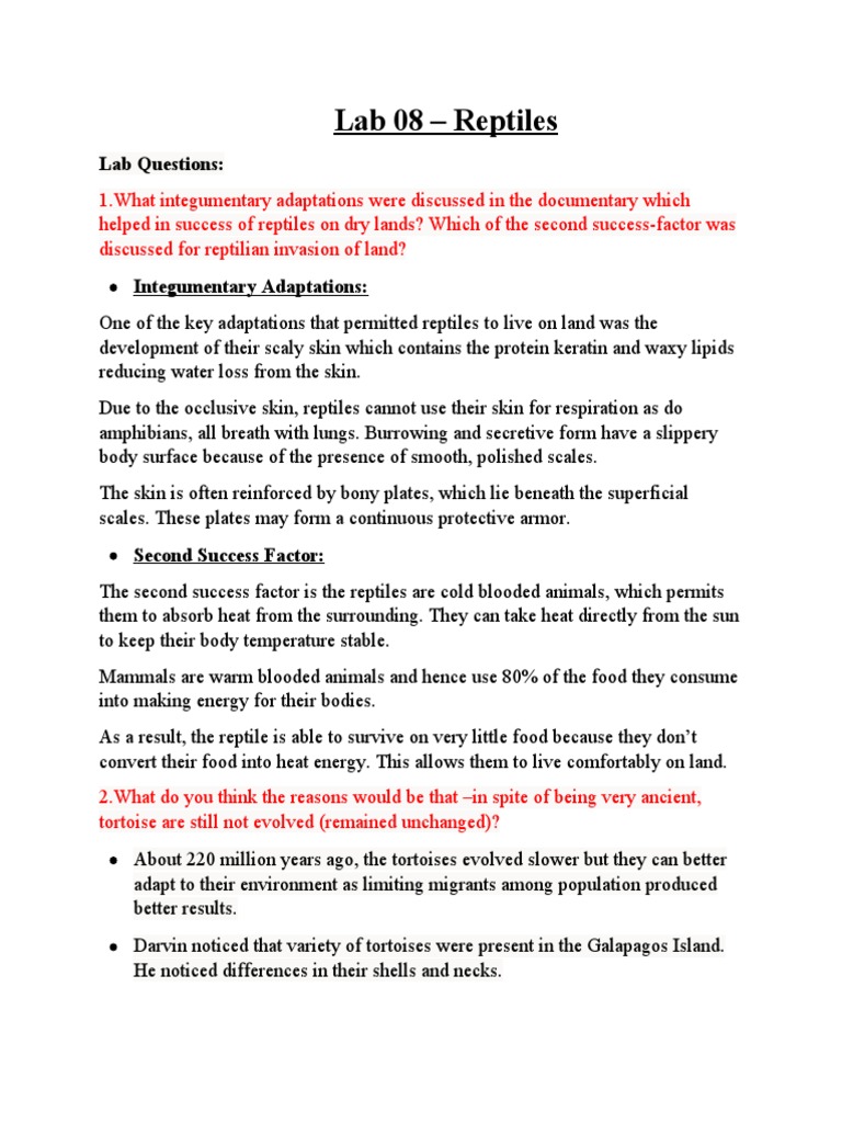 Lab 08 - Reptiles | PDF | Thermoregulation | Reptile
