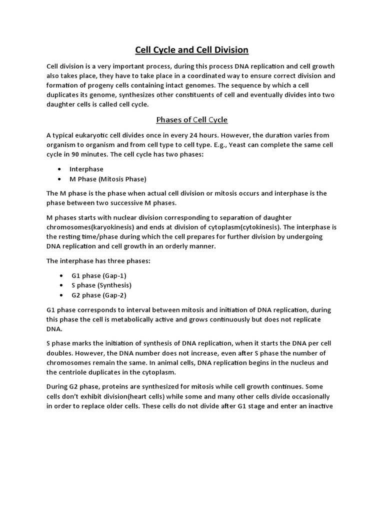 Cell Cycle and Cell Division | PDF | Meiosis | Mitosis
