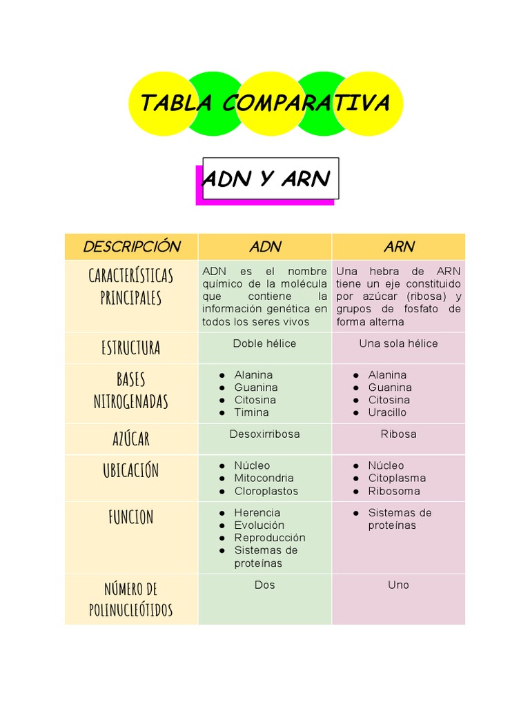 Tabla Comparativa de Adn y Arn | PDF