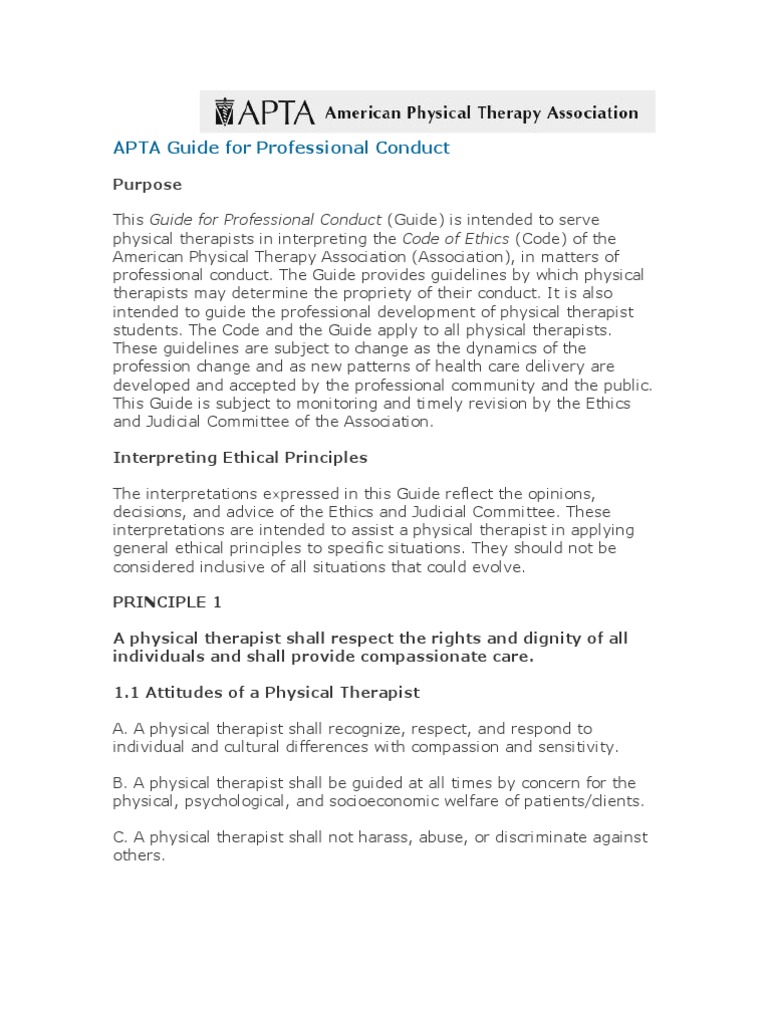 APTA Guide for Professional Conduct | Psychotherapy | Physical Therapy