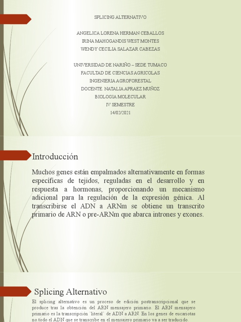 Presentación 1 | PDF | Splicing alternativo | Messenger Rna