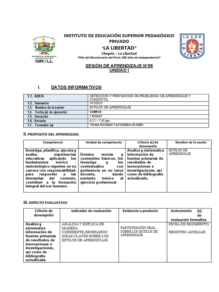 Sesión N°5 Estilos de Aprendizaje | PDF | Aprendizaje | Evaluación