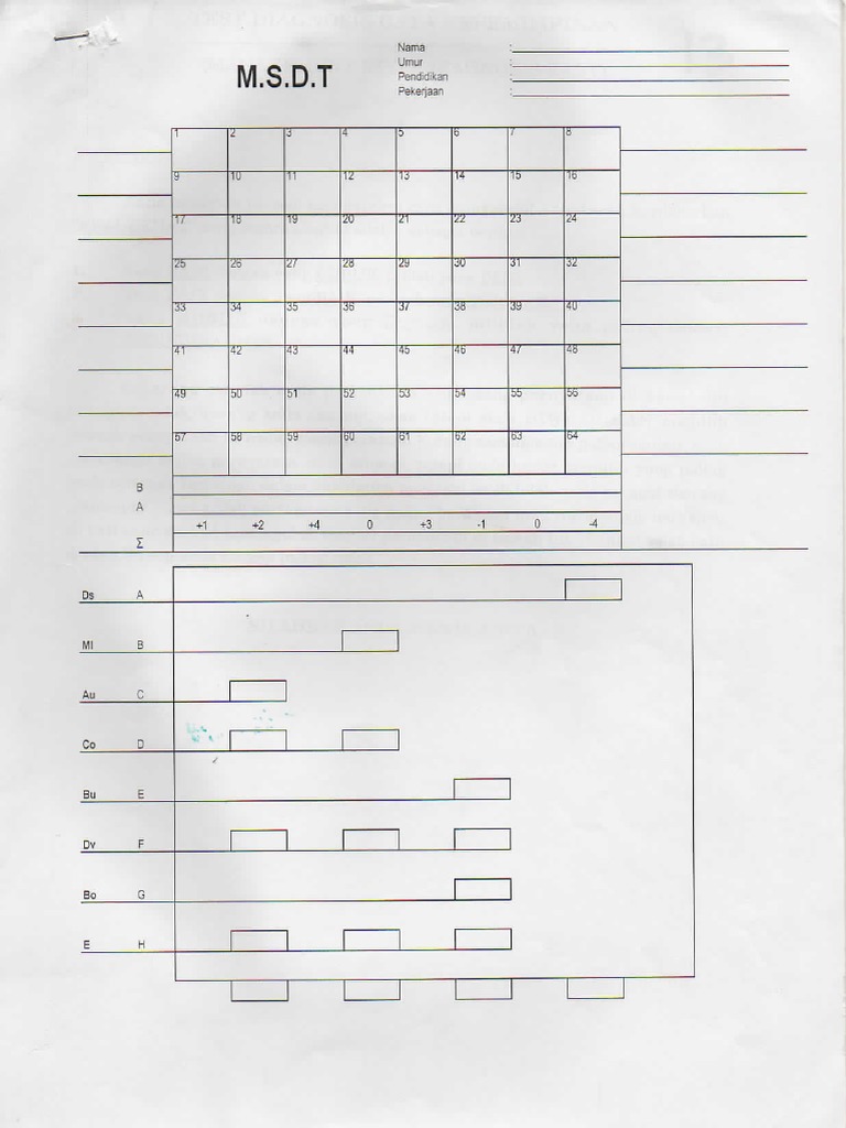 No 5 Tes MSDT Leadership | PDF