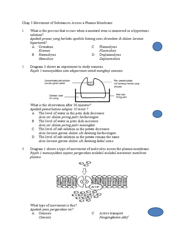 Movement of Substances in Membranes | PDF | Cell Membrane | Osmosis