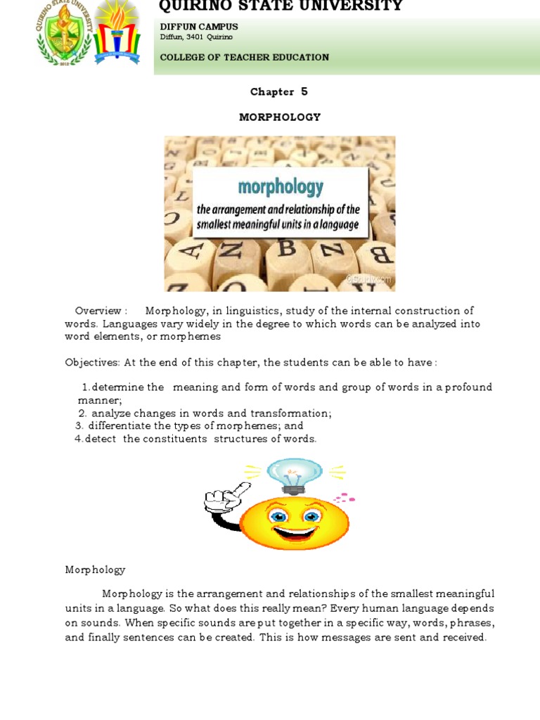 MODULE 8 Morphology | PDF | Word | Grammatical Number