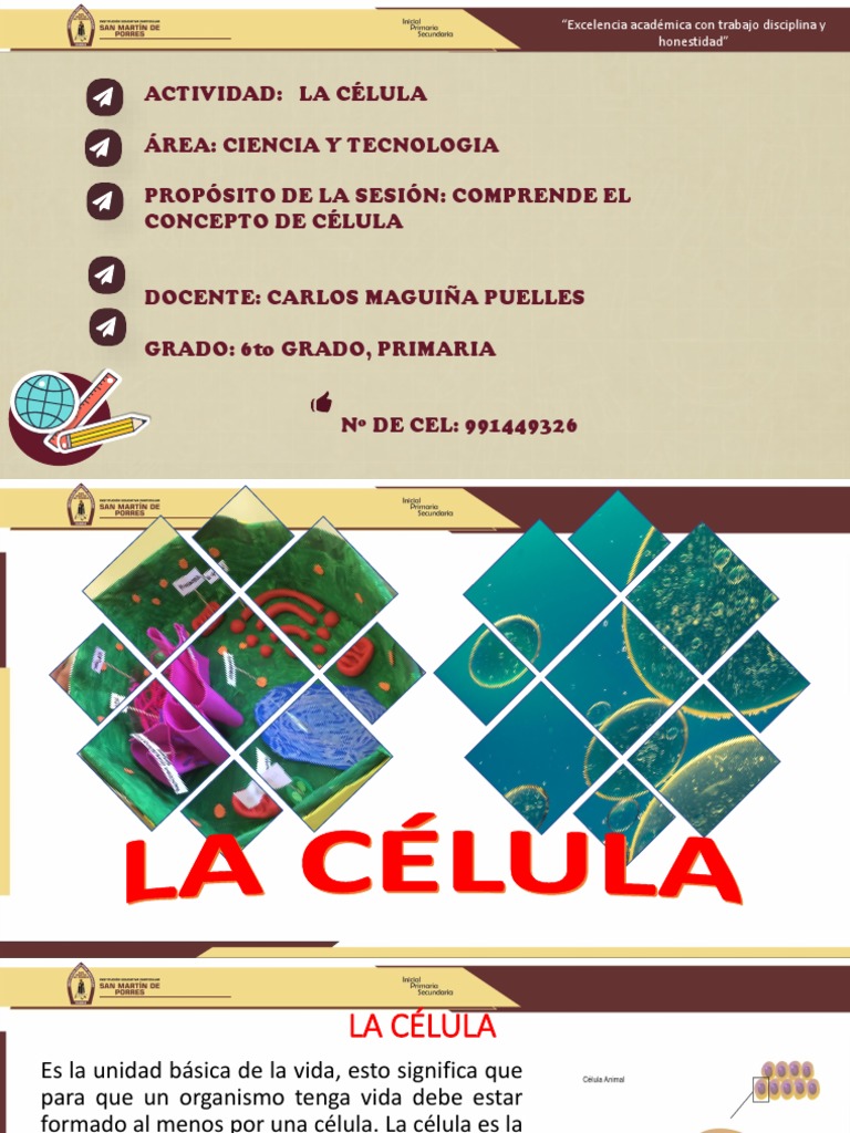 6to Grado LA CELULA | PDF