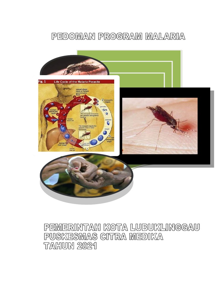 Pedoman Program Malaria - Rev | PDF
