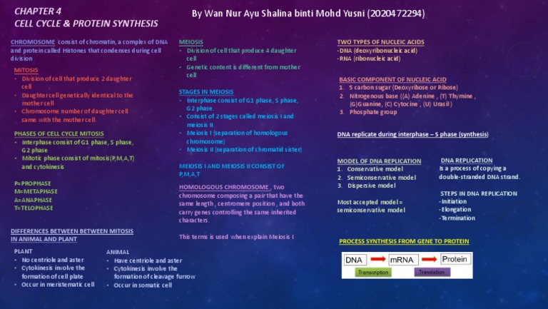 BIO150 Chapter 4 Cell Division | PDF | Mitosis | Meiosis