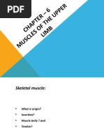 Astri - Neck Cailliet Exercise | PDF | Vertebral Column | Vertebra