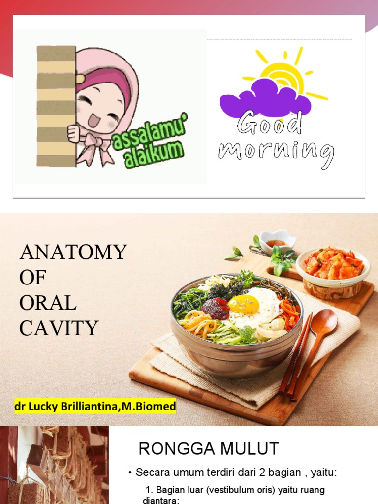 Anatomy of GIT 21 | PDF