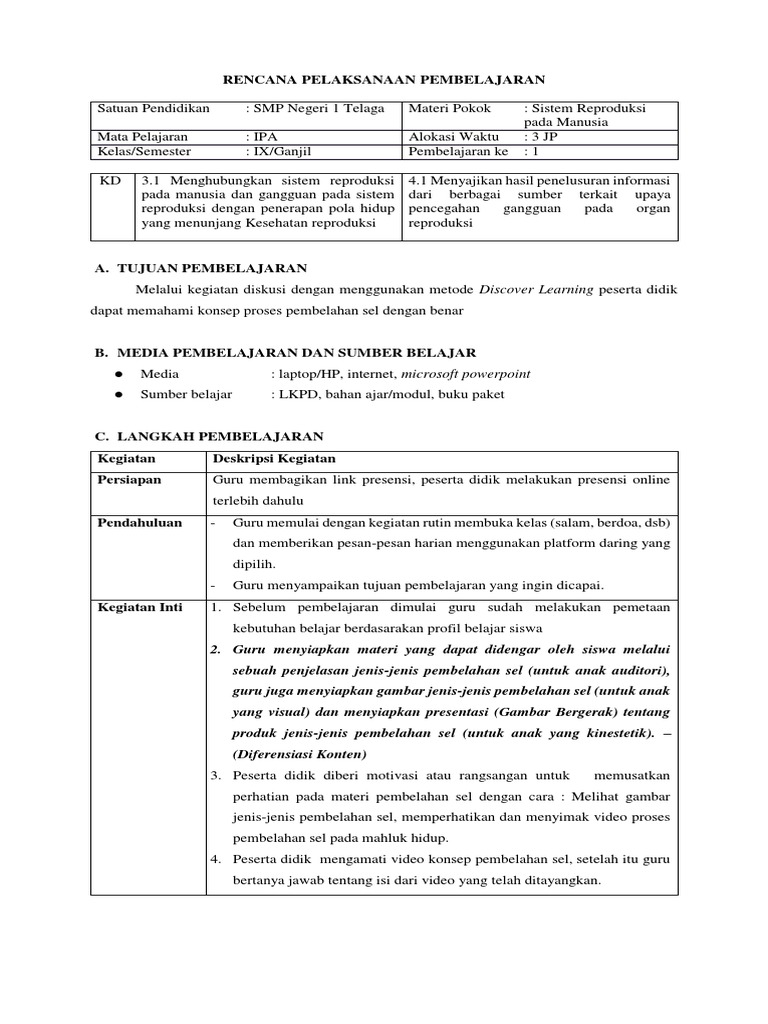 RPP Berdiferensiasi | PDF