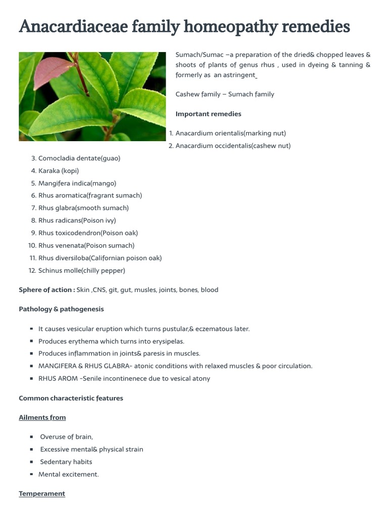 Anacardiaceae Family Homeopathy Remedies - Homeopathy Resource | PDF ...