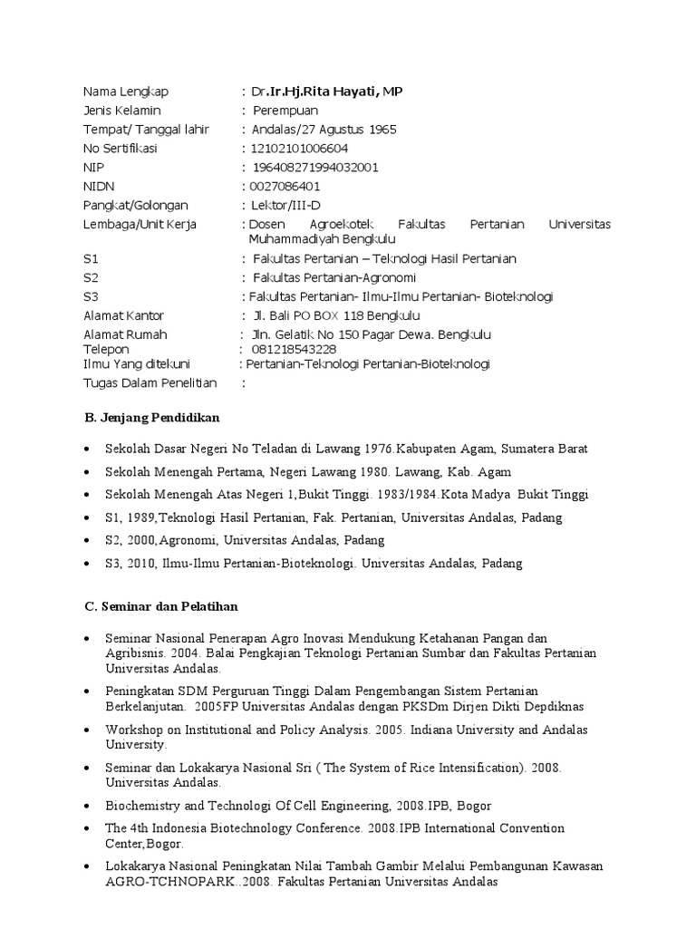 CV - Rita Hayati Terbaru | PDF