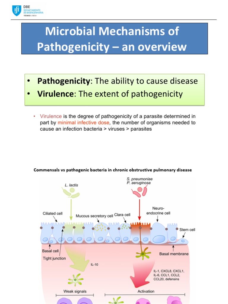 Microbial Mechanisms of Pathogenicity - An Overview | PDF | Pathogen ...