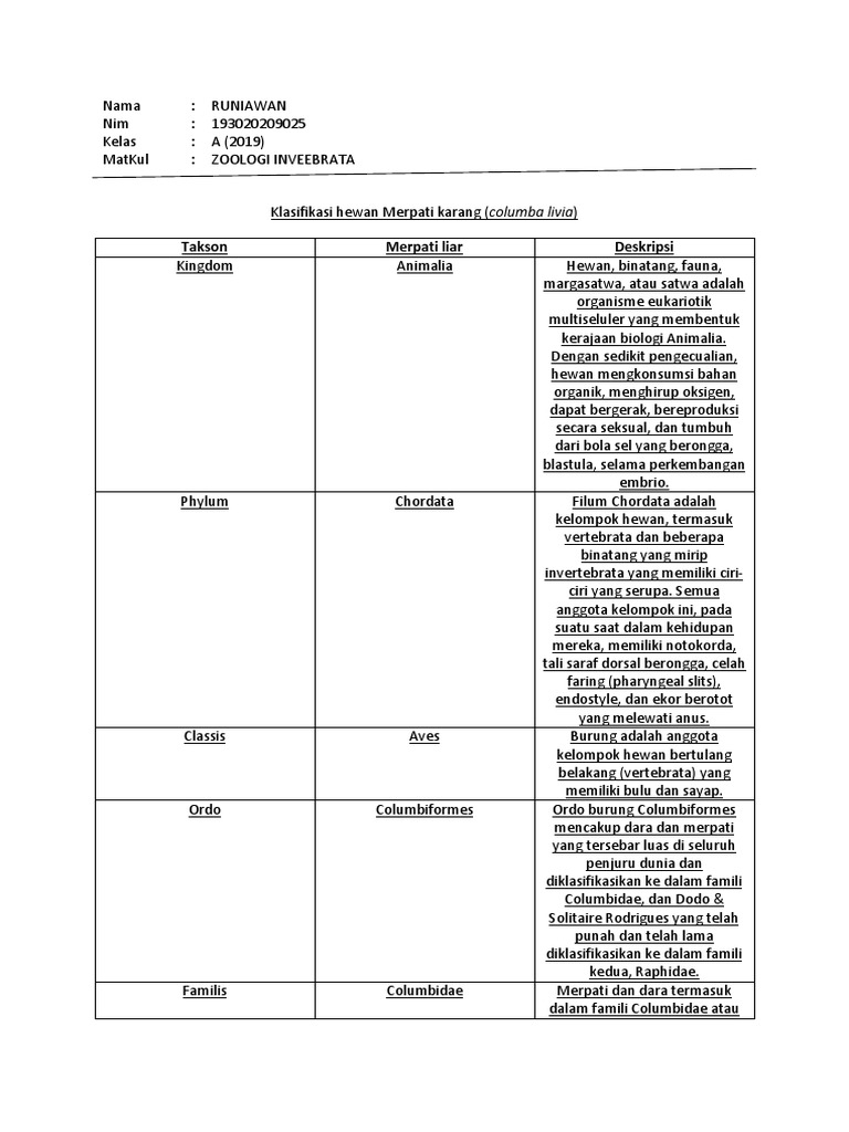 Klasifikasi Merpati Karang (Columba livia) | PDF
